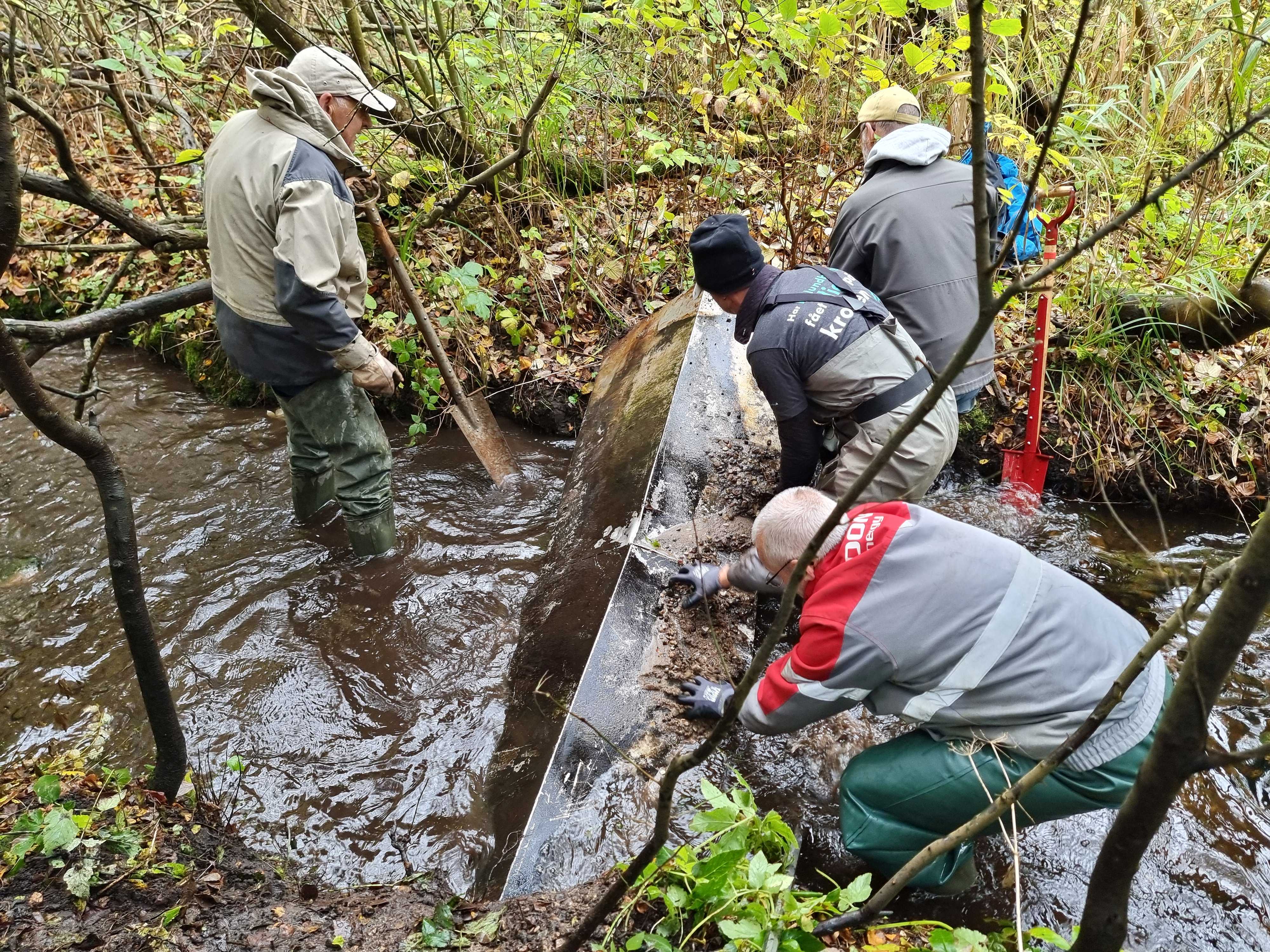 Semi-spærring i Bregninge Å erstattet af gydebanke og sten! - Fishing ...
