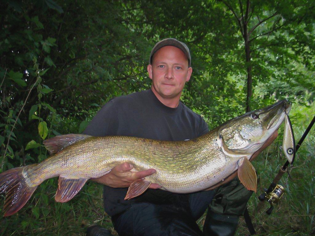 Restriktivt geddefiskeri - Fishing Zealand